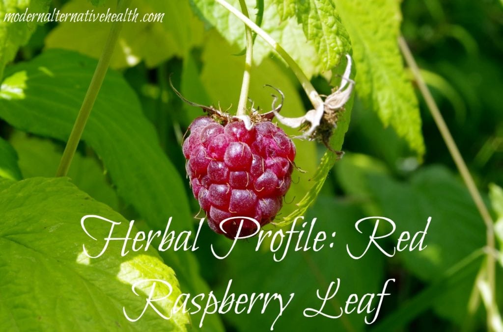 Herbal Profile: Red Raspberry Leaf