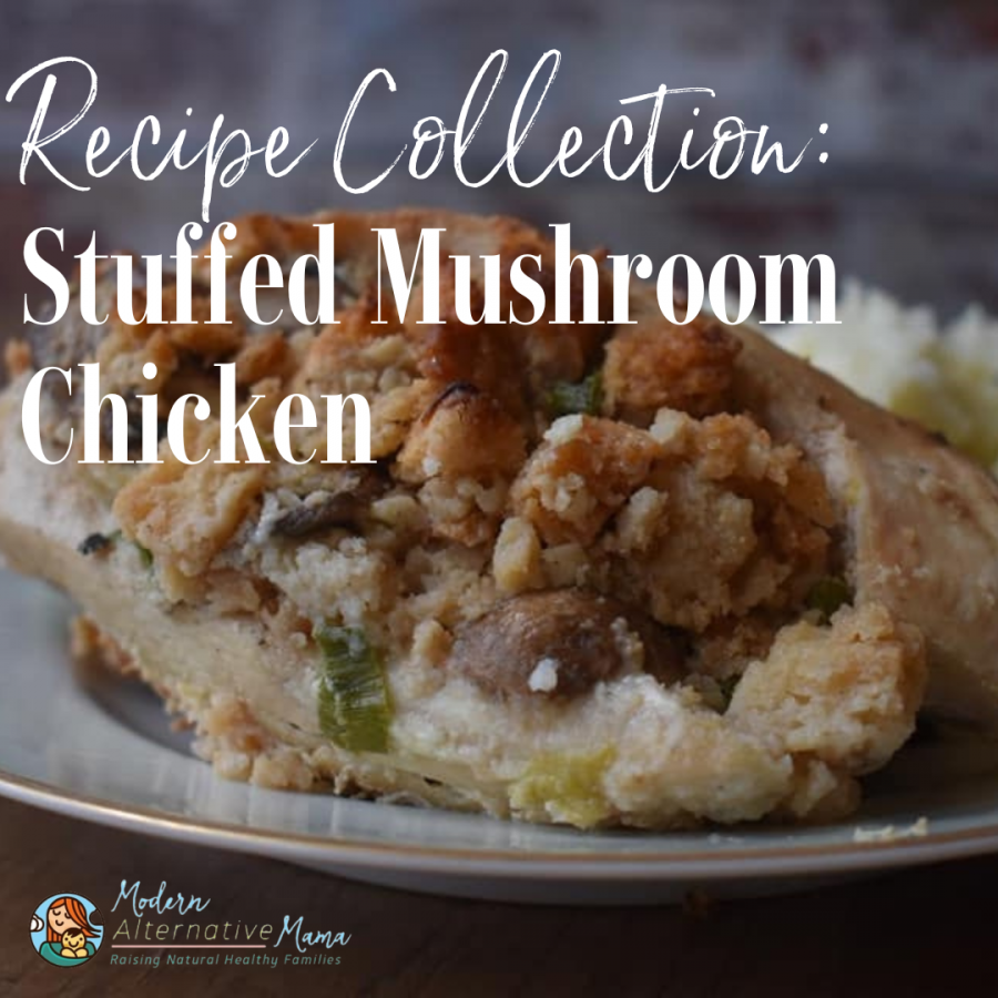 Recipe Collection: Gluten-Free Sourdough Boule