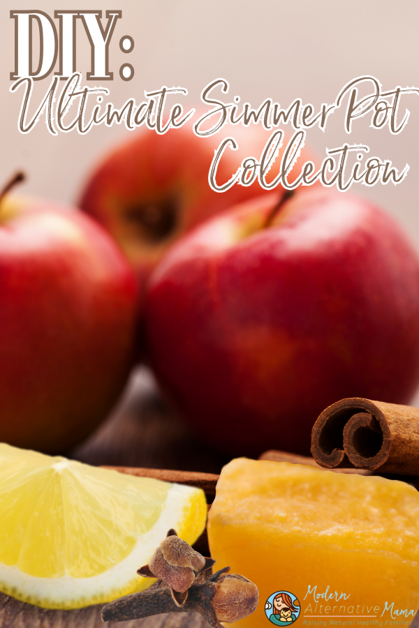 DIY: Ultimate Simmer Pot Collection