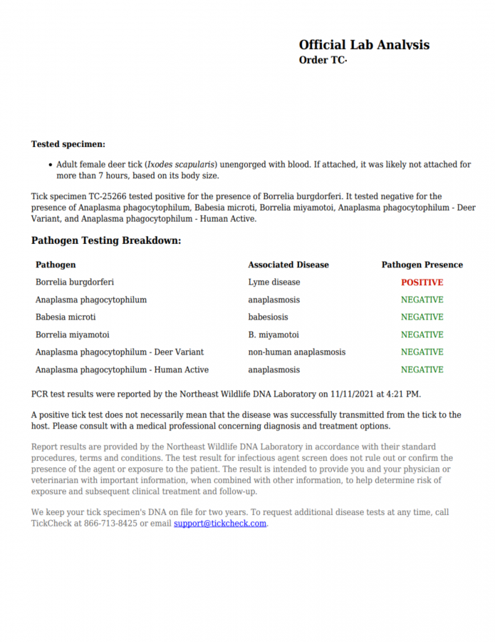 DIY: How to Make a Tick Kit