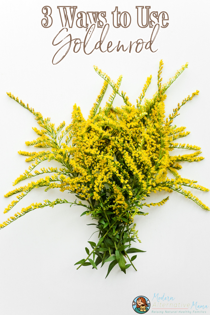 3 Ways to Use Goldenrod
