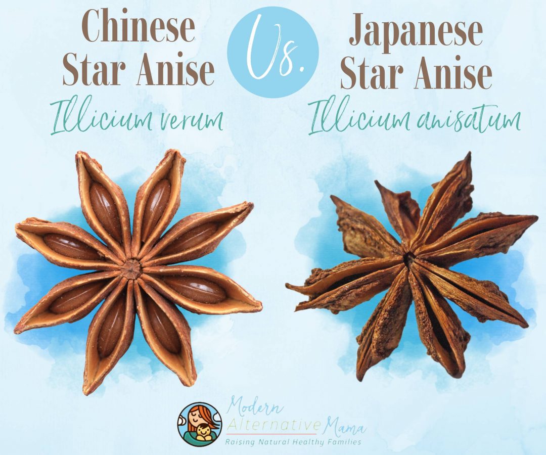 Herbal Profile: Star Anise