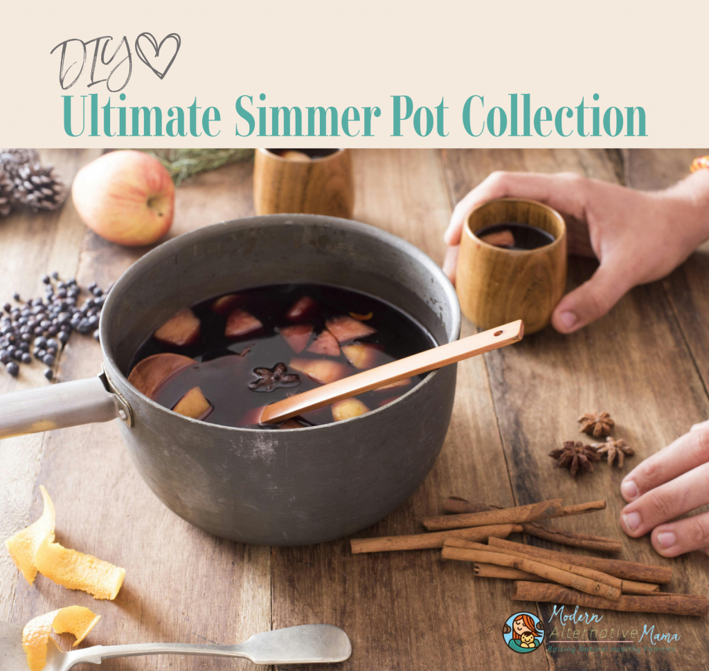 DIY Ultimate Simmer Pot Collection